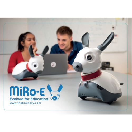 Explore our robot range here! - The Brainary 🤖