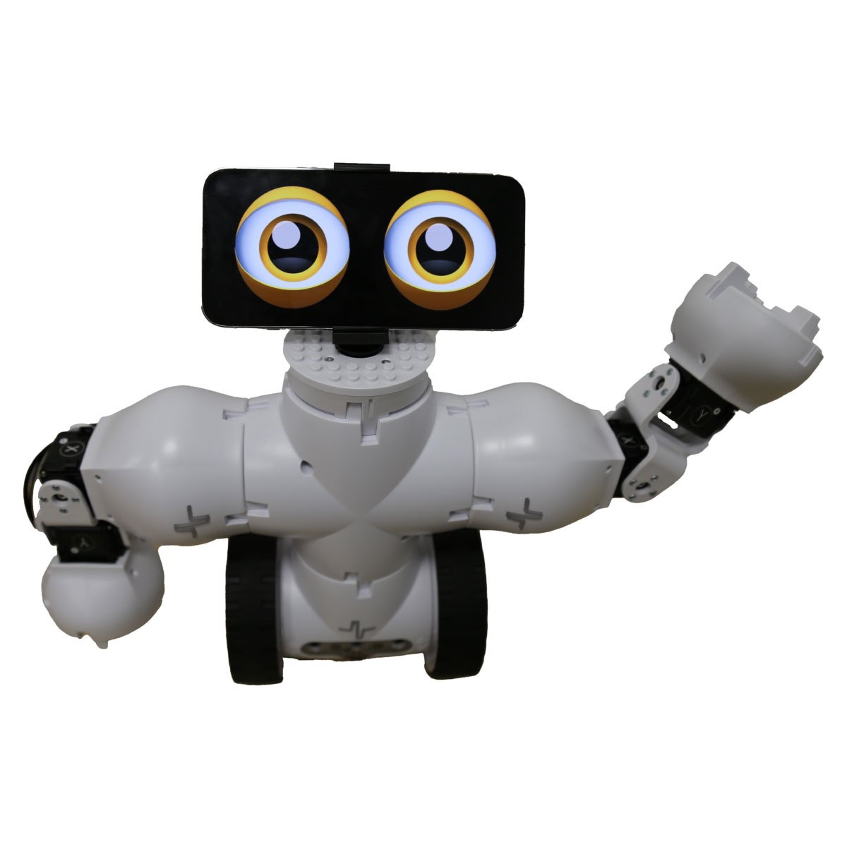 Fable Humanoid Robot Kit - The Brainary